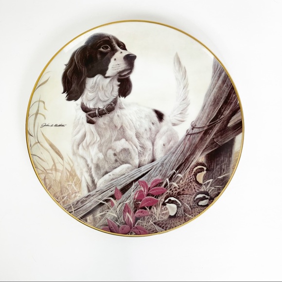 John Ruthven | Other | John Ruthven Rummy Decorative Collectors Plate ...
